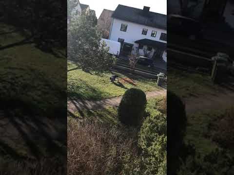 VID 20181118 WA0004