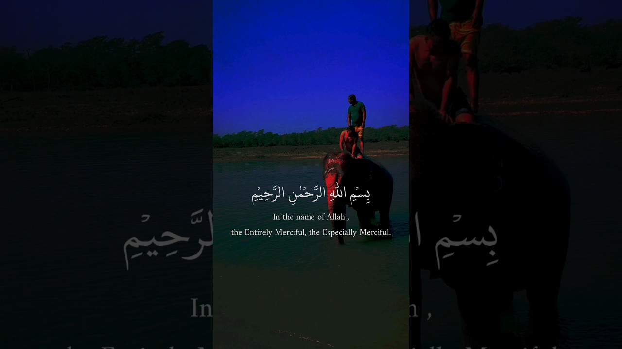 sura fil with English translation #quran #islamic #islam #surafil # ...