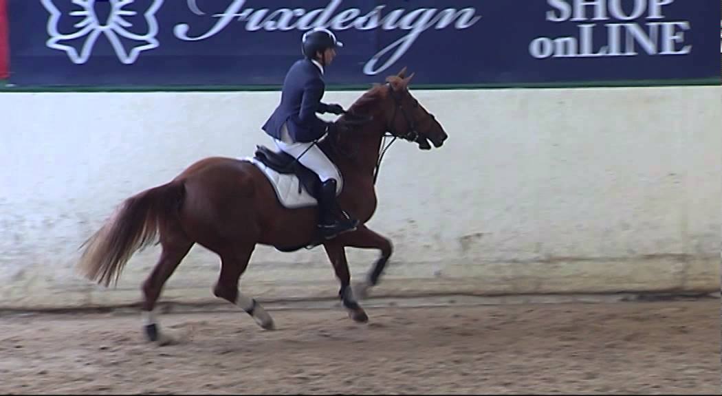 00001F8D 1 VEN 1 C 130 T259 GABRIELE GRASSI JUST DEAUVILLE VDR - YouTube