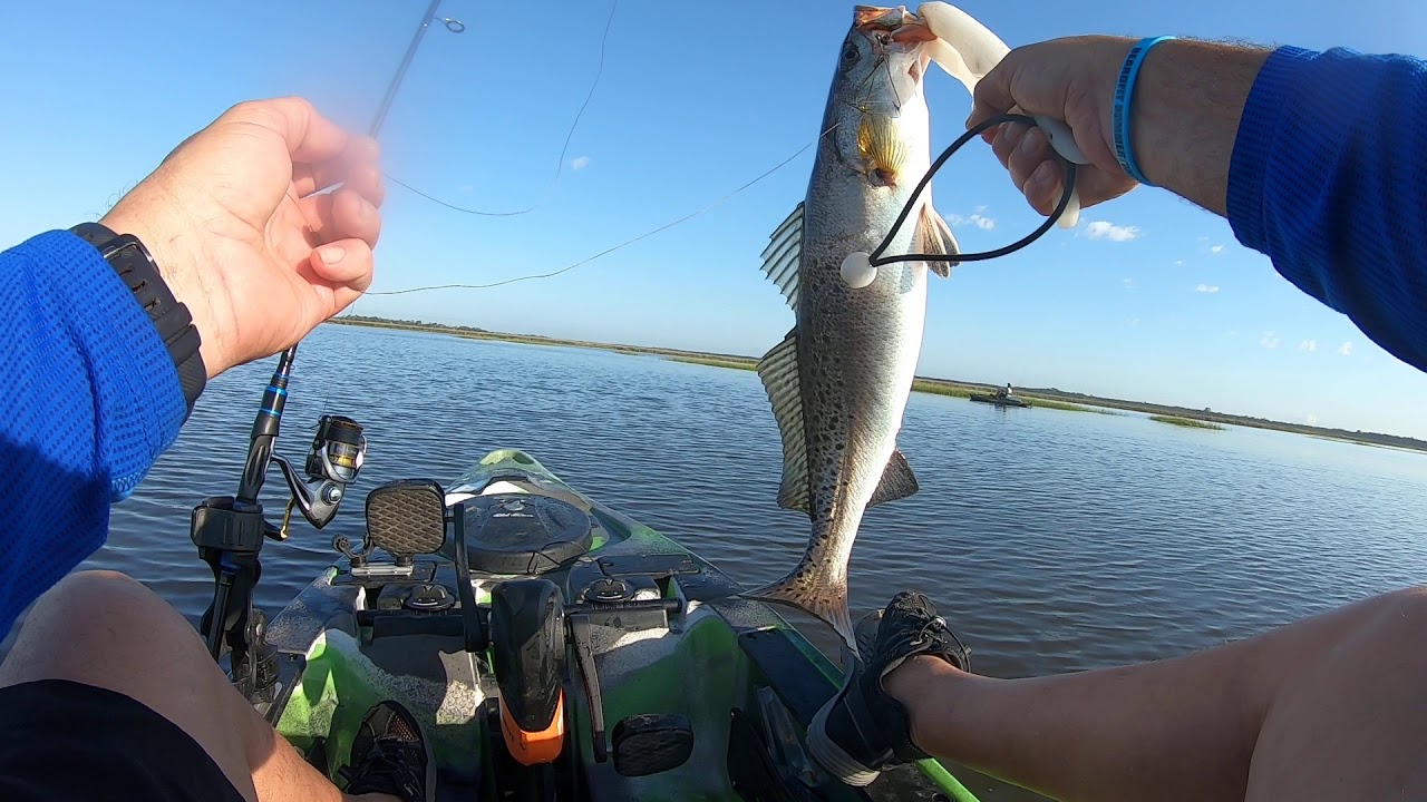22 inch Trout - YouTube