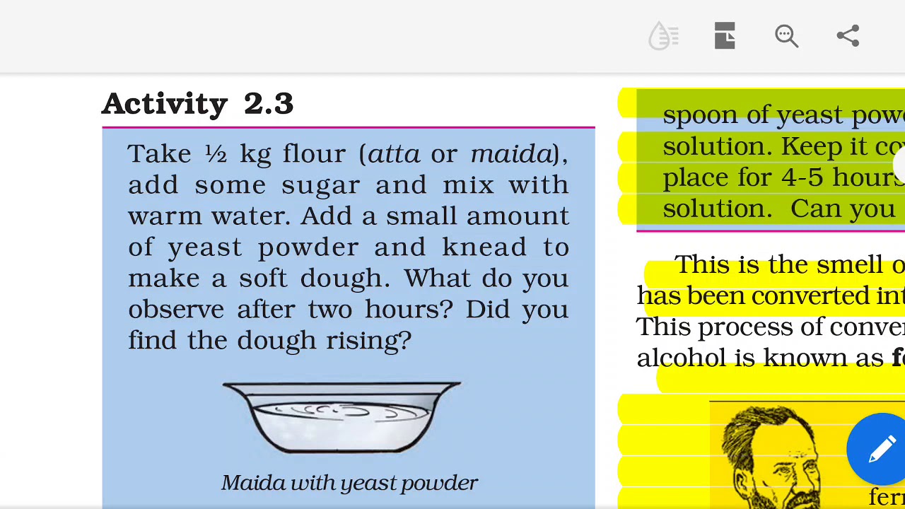 NCERT Science : 8th class ll Chapter 2 ll Fermentation. - YouTube