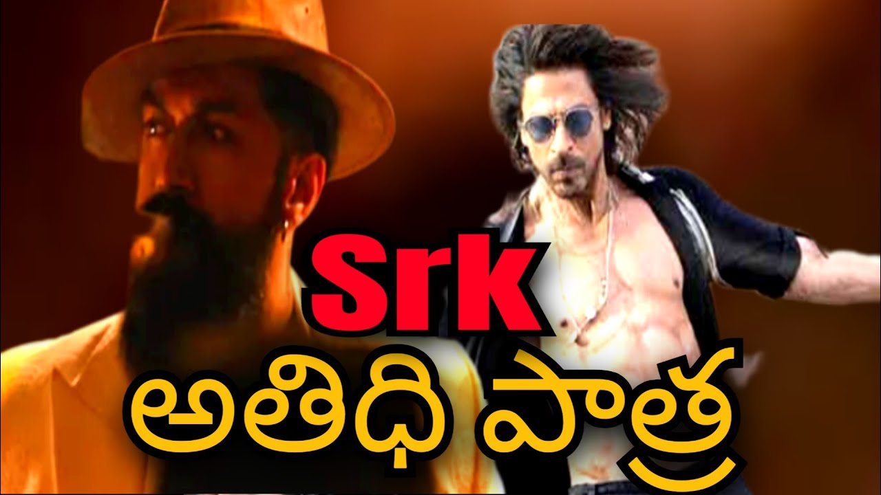 Toxic Movie Update | Special CAMEO in TOXIC Movie from BOLLYWOOD | PN ...