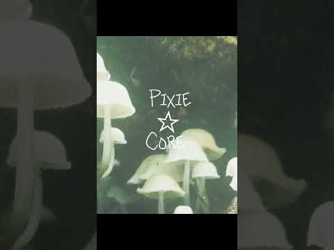 Pixie core 🧚‍♀️ #fairycore #pinterest #core #fairy - YouTube
