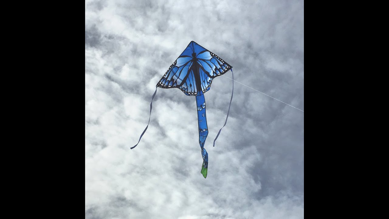 Blue Butterfly 45" Fly-Hi Kite - In the Breeze - YouTube