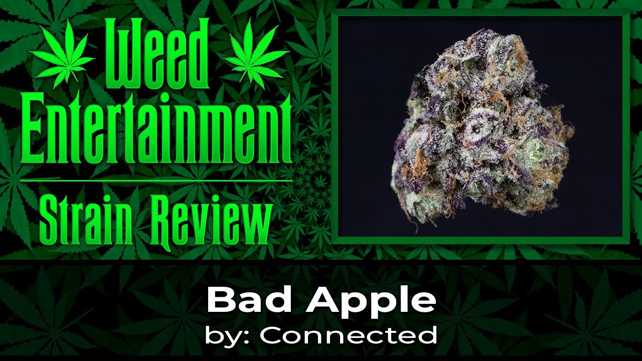 Bad Apple - by Connected - Strain Review - December 2022 - YouTube