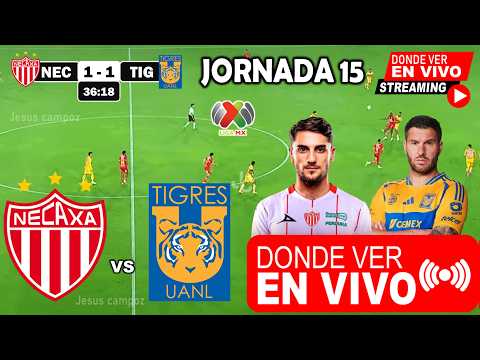 Necaxa vs. Tigres En Vivo, Donde ver, A que hora juega JORNADA 15 | Análisis Pronostico y Horarios