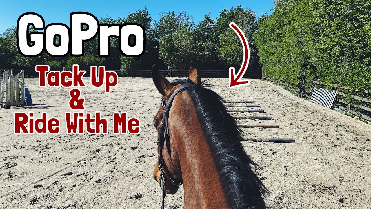 GOPRO TACK UP AND RIDE MY HORSE! - YouTube