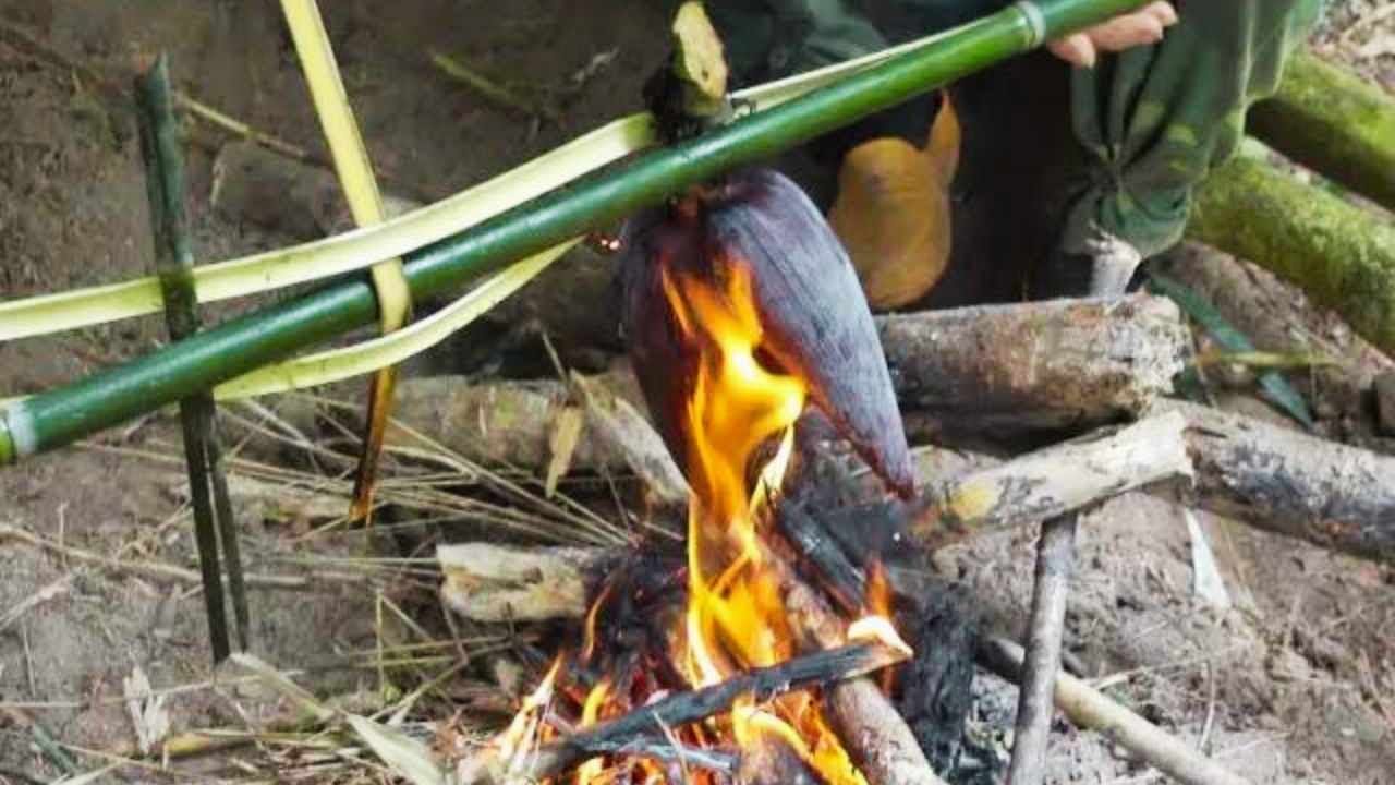 Build a temporary shelter in the tropical rainforest and unique food ...