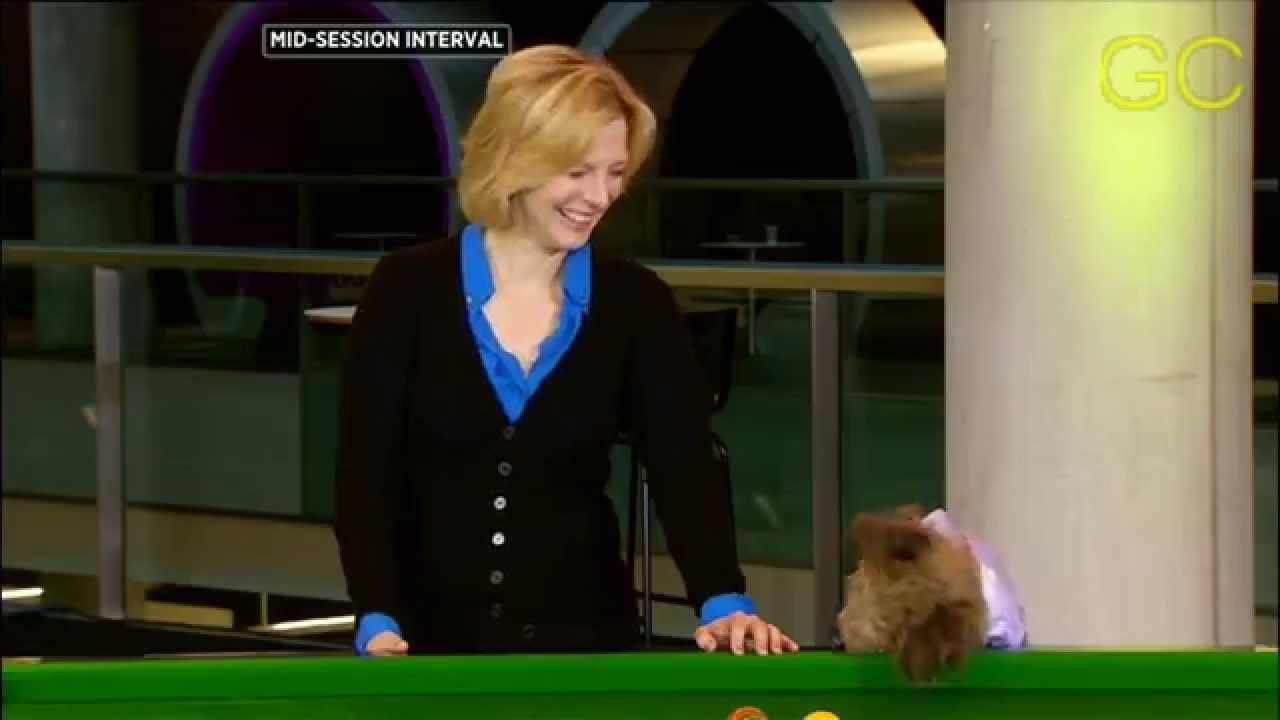 Snooker W.C.[2015]-Hazel Irvine with Hacker T Dog [HD] - YouTube
