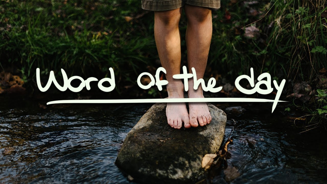 Canela Da Perna Em Ingles - RETOEDU