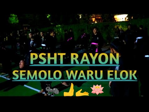 Latihan PSHT Rayon Semolo Waru Elok🐜 - YouTube