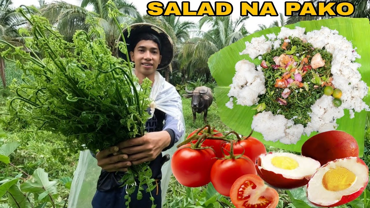 PANGUNGUHA NG LIBRENG PAKO SANIYUGAN PARA SA PANANGHALIAN - YouTube