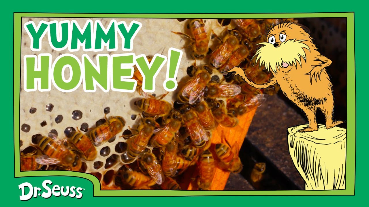 How Do Bees Make Yummy Honey? | The Lorax Nature Keepers Club | Dr ...