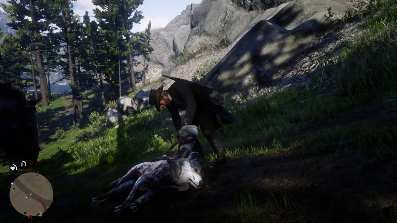 Red Dead Redemption 2 skinner - YouTube