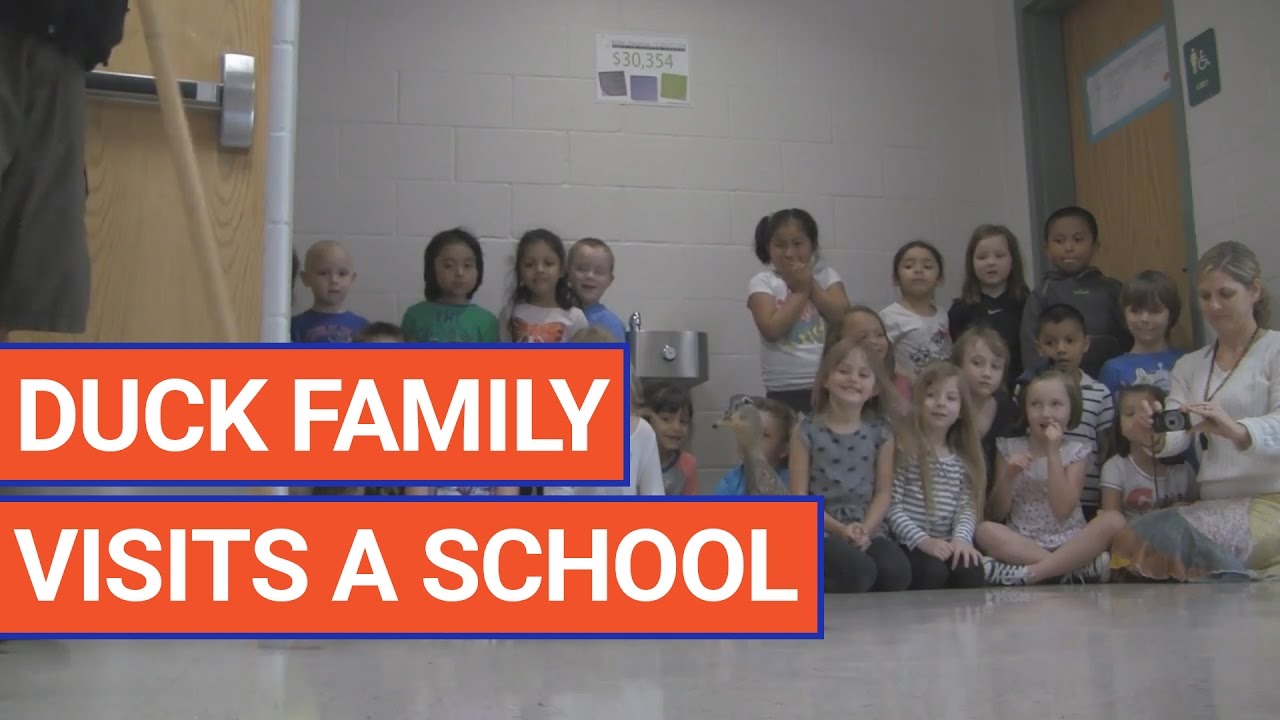 Duck Family Walks through Halls of School Video 2017 | Daily Heart Beat ...
