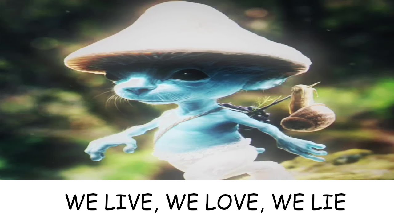 WE LIVE WE LOVE WE LIE - YouTube