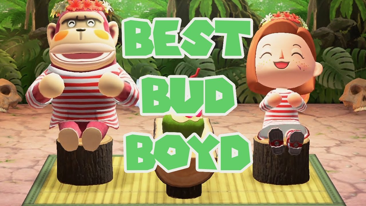 Best Bud Boyd! - Animal Crossing New Horizons - YouTube