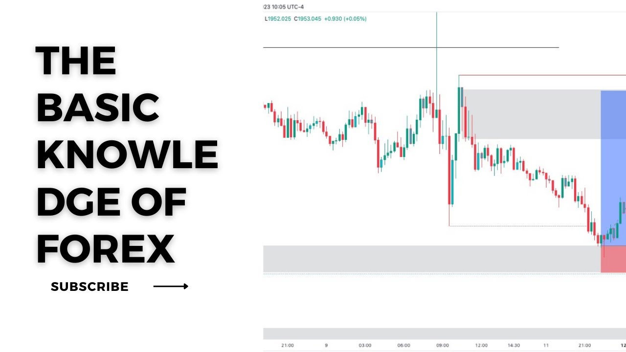 THE BASIC KNOWLEDGE OF FOREX - YouTube