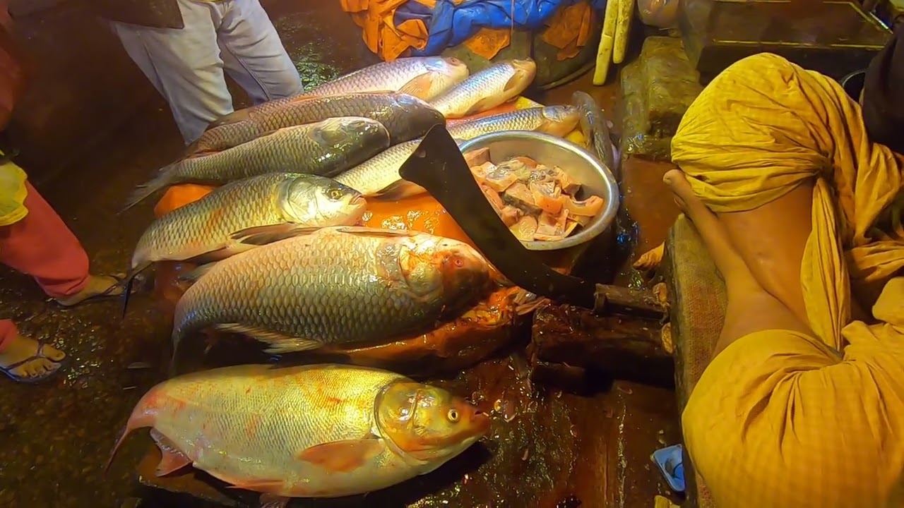Cheapest Fish Market || cheapest fishing reel || cheapest fish ...