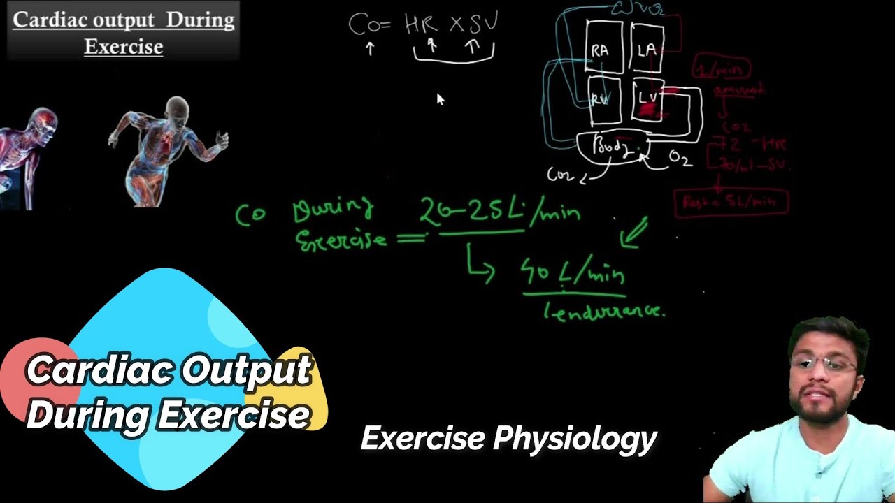 Cardiac Output During Exercise,Effect of exercise on Cardiovascular ...
