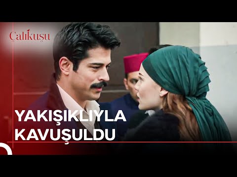 Adı Lazım Değil, Baş Harfi Kamran | Çalıkuşu