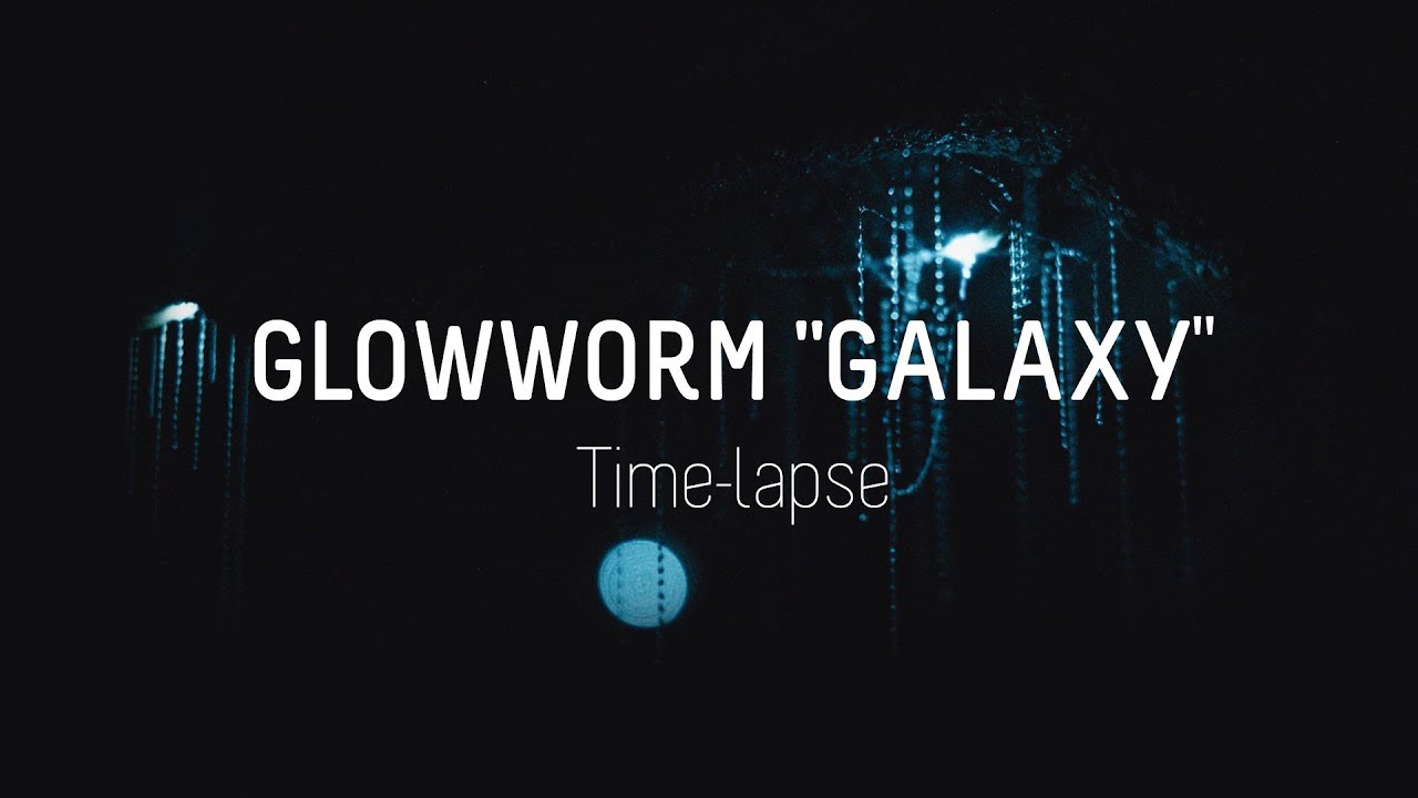 The glowworm "galaxy" time-lapse - YouTube