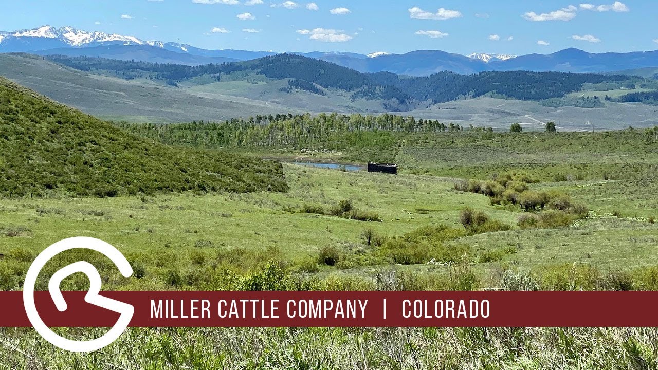 Colorado ranches for Sale - SOLD Miller Land & Cattle Company | Mason ...