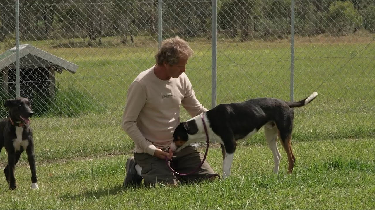 Rescue: Part 1 - YouTube