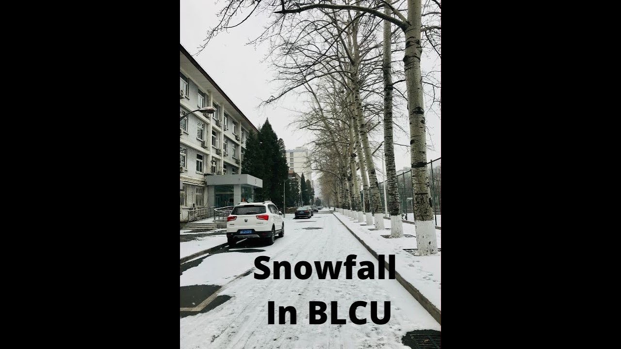 Snowfall in BLCU | BLCU | Snow | Beijing Language and Culture ...