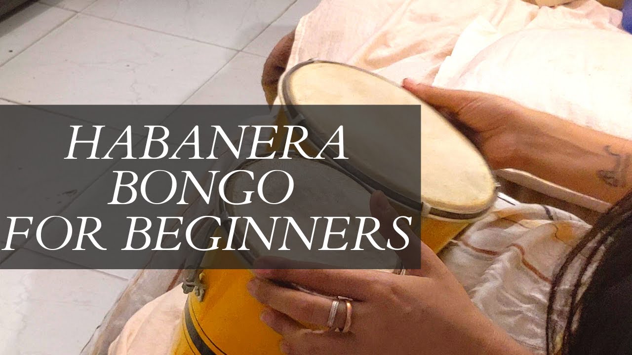 Bongo for beginners | Habanera on Bongo | Basic beats on Bongo - YouTube