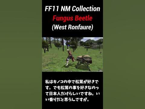 【FF11 NM Collection】Fungus Beetle #shrots - YouTube