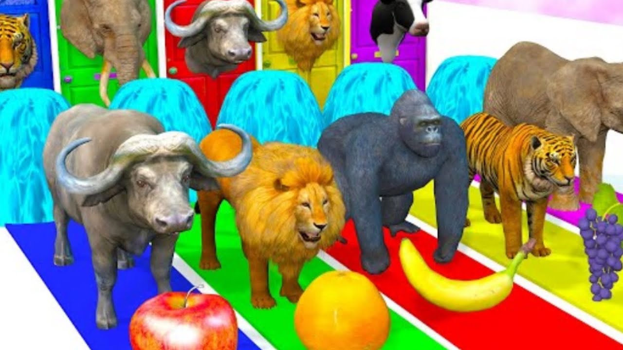 Animal cartoon for kids 🐂cow🐃 lion 🐅viral cartoon video #cartoon # ...