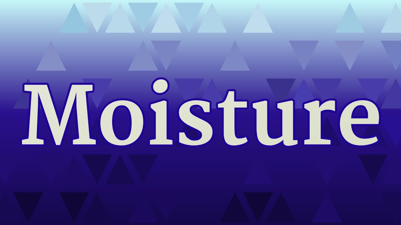 MOISTURE pronunciation • How to pronounce MOISTURE - YouTube