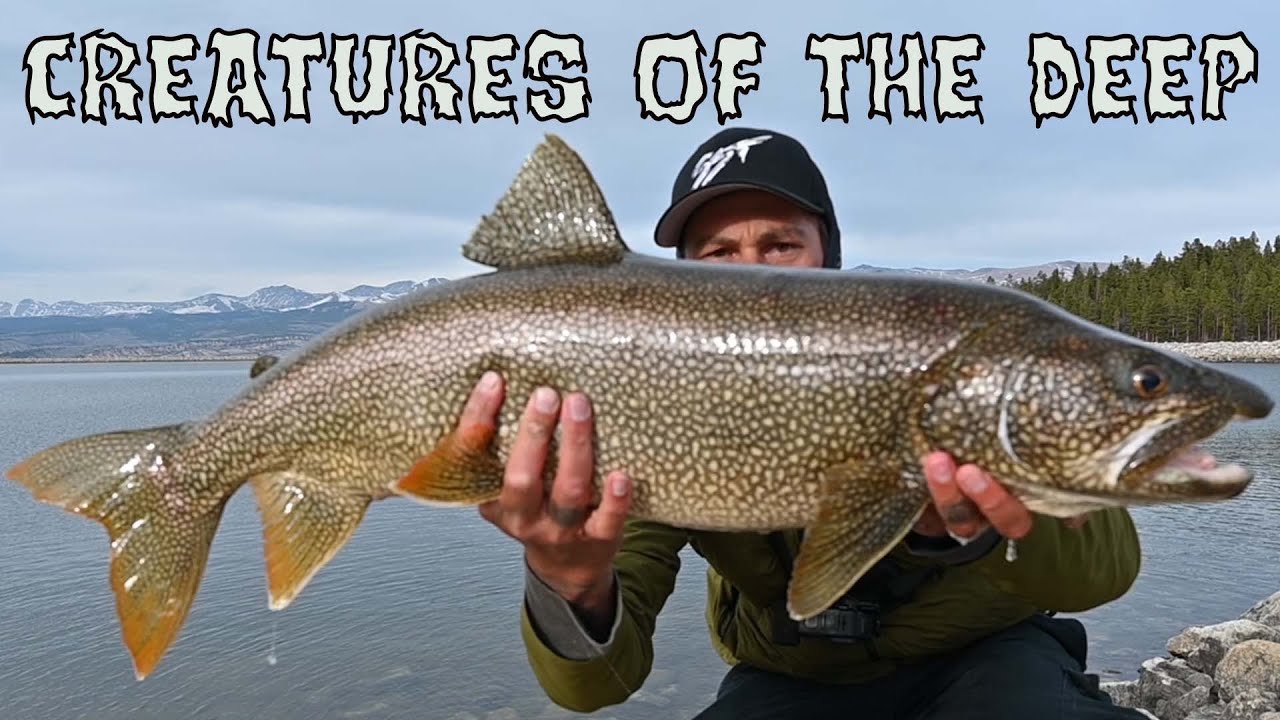 Fishing Colorado For Mackinaw Lake Trout - CREATURES OF THE DEEP - YouTube