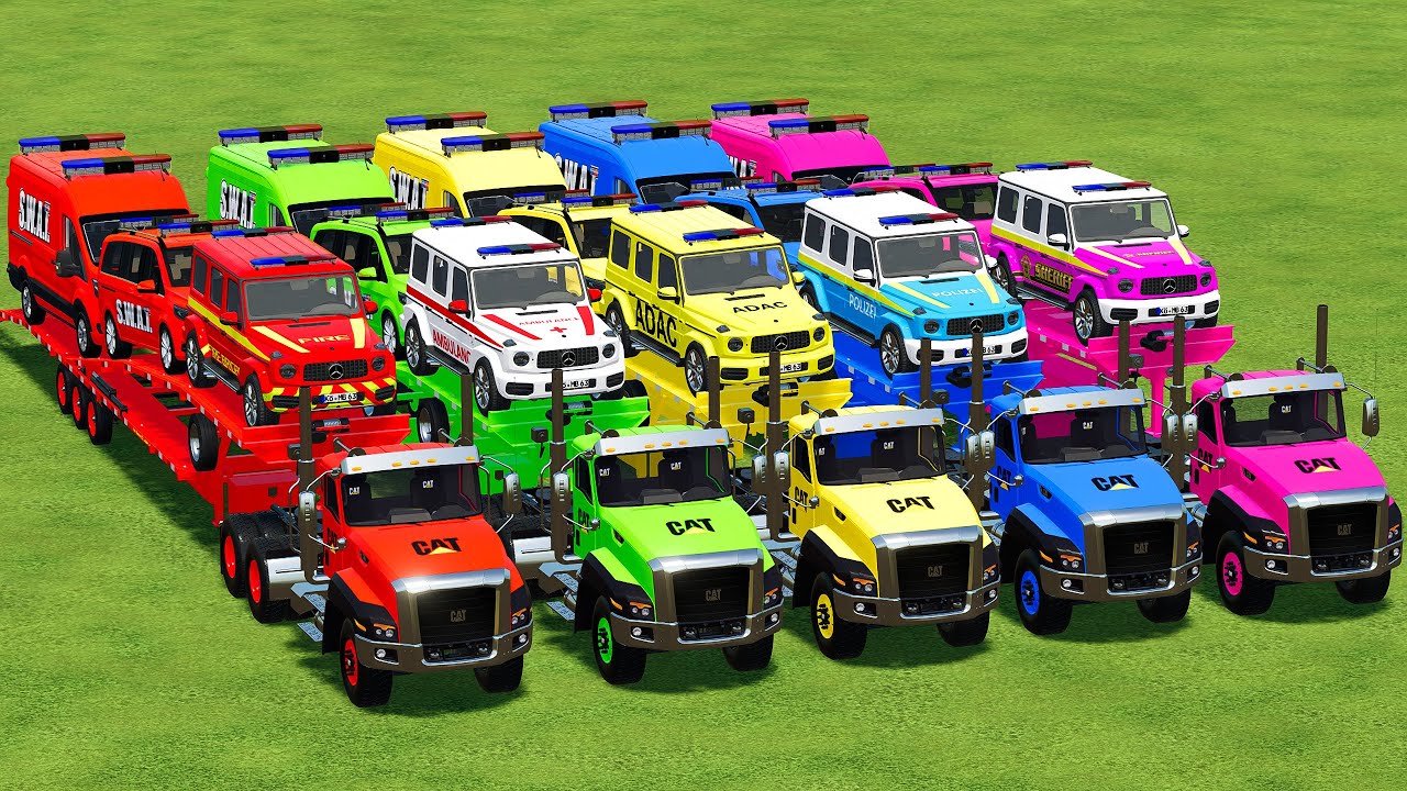 TRANSPORTING SWAT FORD, MULTIVAN MERCEDES & POLICE G -CLASS WITH CAT ...