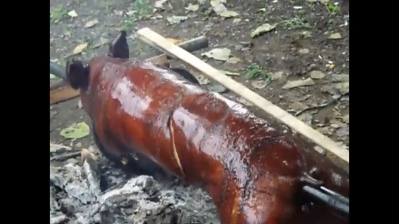 52 Kilos Homemade Lechon Baboy / Crispy Roasted Whole Pig / Indigenous ...