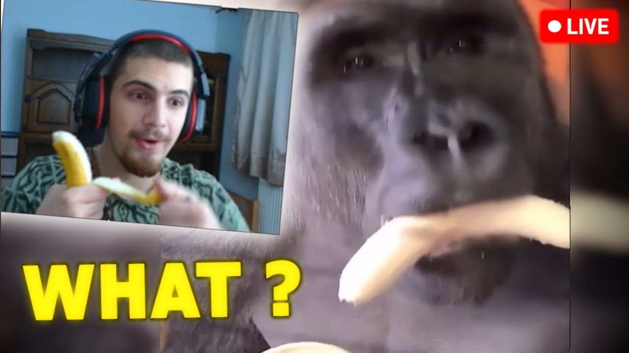 the most normal highlights video ever... - YouTube