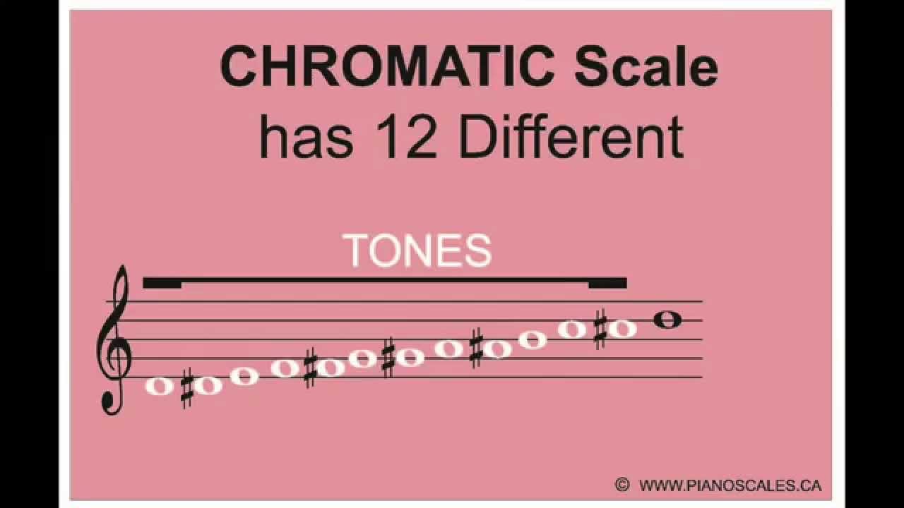 Learn Music Terms & Theory Rules with Flashcards - YouTube