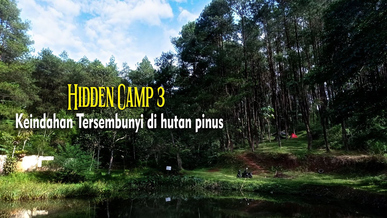 Camping di tepi Danau kecil tersembunyi Surga tersembunyi di hutan ...