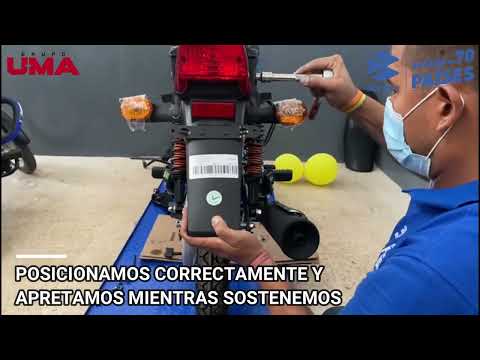 Alineacion Guardafango Trasero