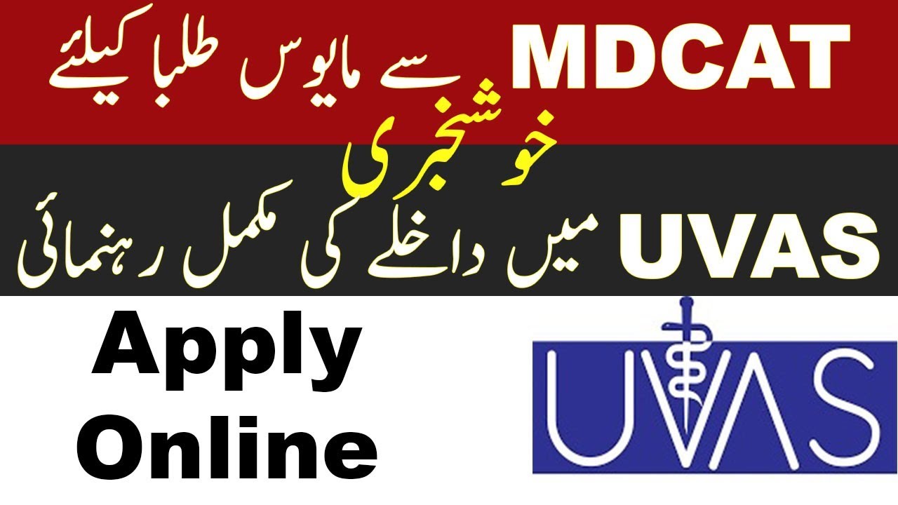 How to Apply Online in University of Veterinary and Animal Sciences ...