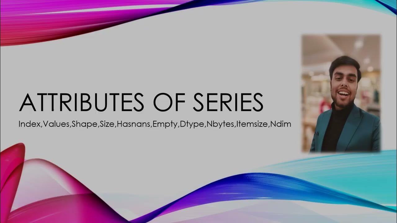 Attributes of Series python pandas class XII (12) CBSE 2024-25 cuet ip ...