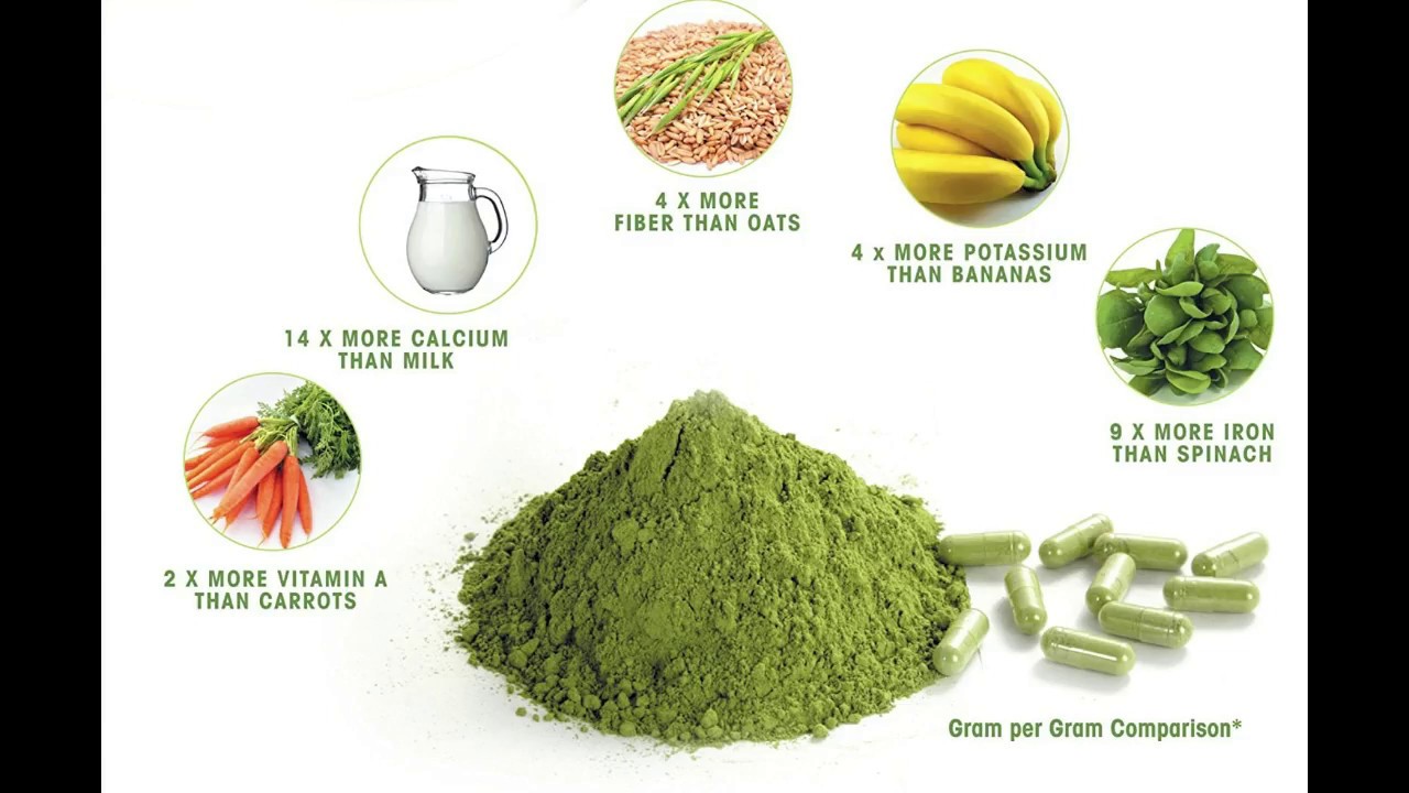 सितलचिनी के हाे ? सितलचिनी खेती कहाँ कसरी खेती गर्न सकिन्छ ? Moringa ...