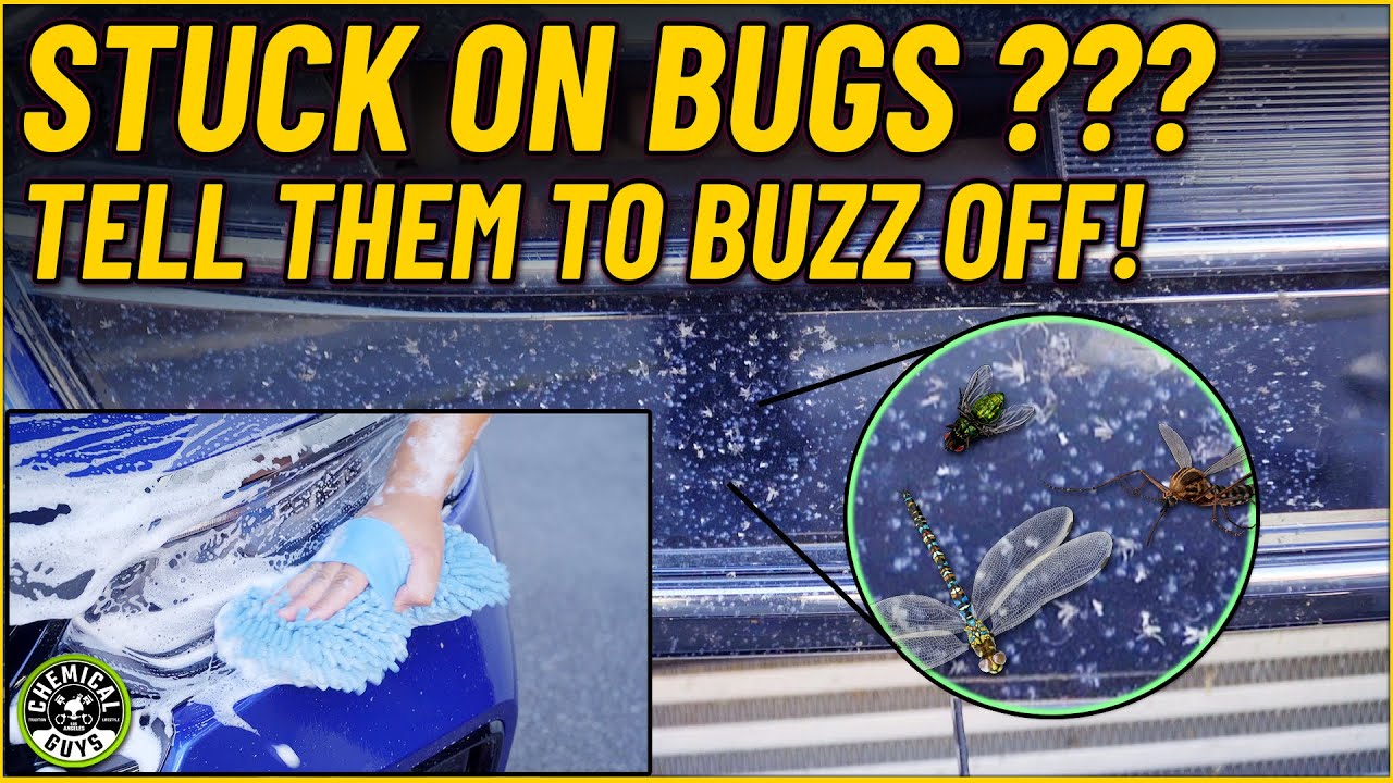 Is Your Ride Covered In Bug Guts? Remove Them Scratch-Free With This ...