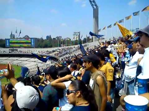 Dale Pumas, dale dale oh - YouTube
