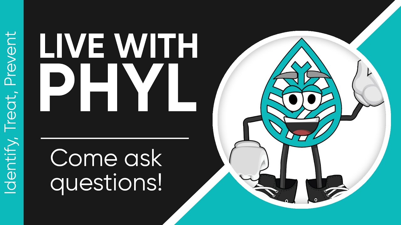 Check out the ASG Checklist with Phyl and ask questions - YouTube