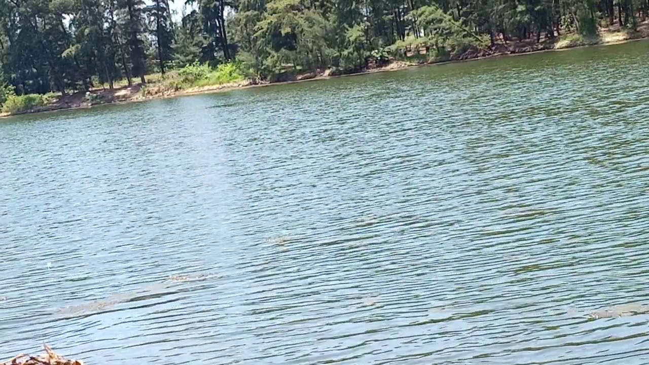 how to fish past 1 - YouTube