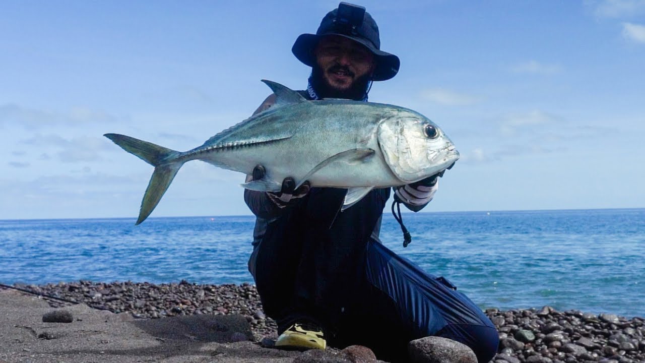 Perfect Weather, Perfect Catch! | Inshore Fishing in the Caribbean ...