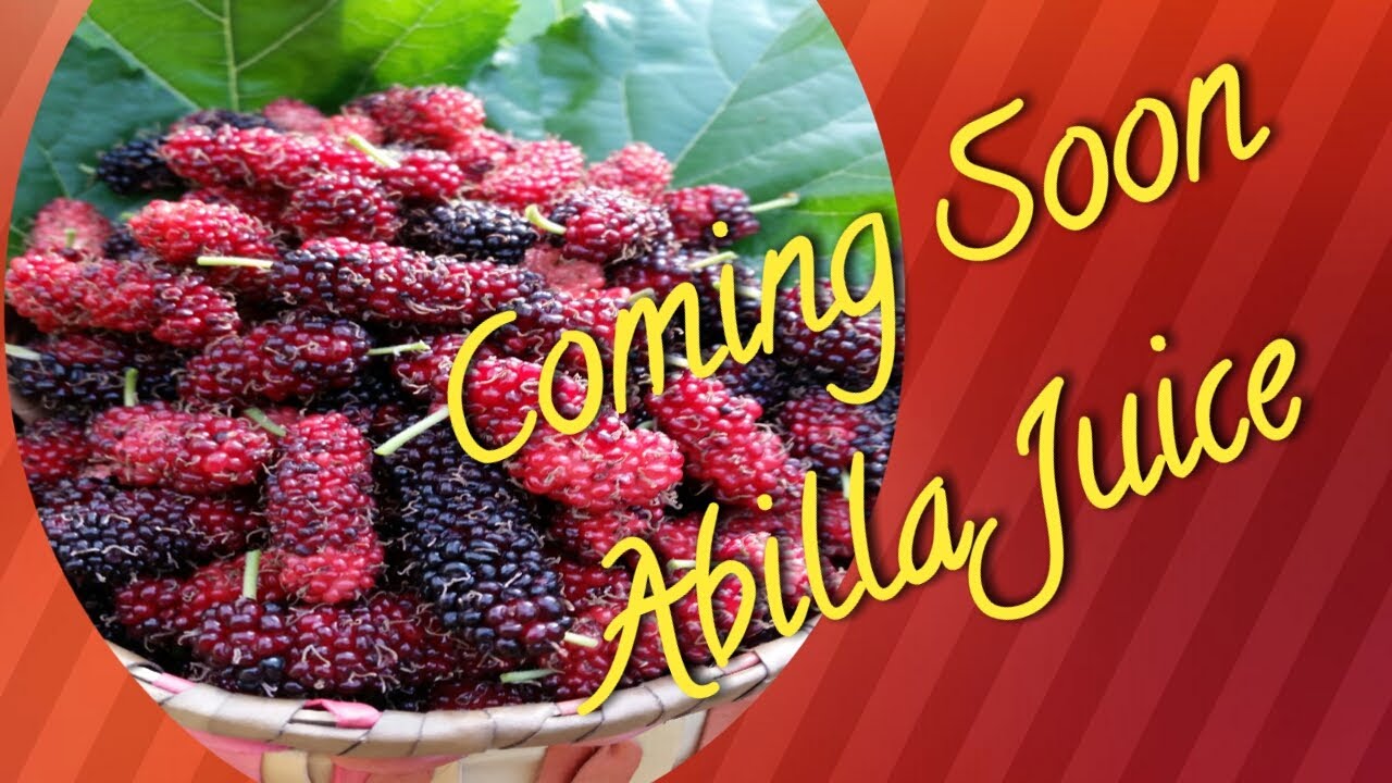 Coming Soon Abilla Juice Video - YouTube