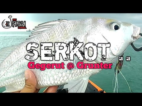 SERKOT - GEGERUT @ GRUNTER - YouTube